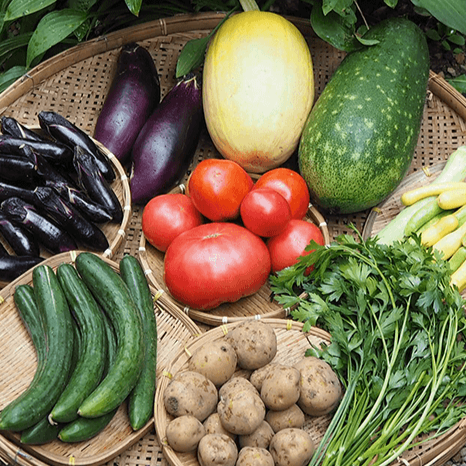 【飛騨の野菜を直送】野村農園さんの季節のお野菜セット｜hiHIDA